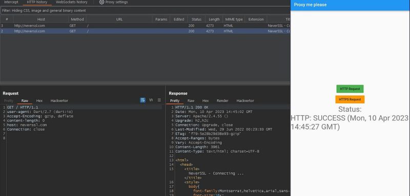 آموزش دورزدن Ssl Pinning در اپلیکیشن های فلاتر (Flutter)